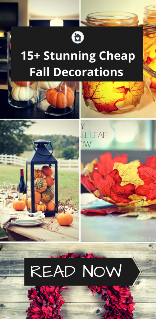 15+ Cheap Fall Decorations That I Absolutely Love - Tiny Living